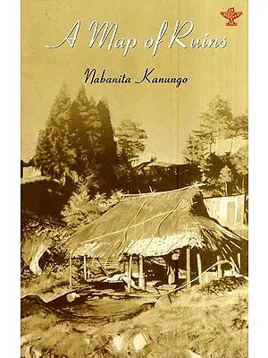 A Map of Ruins- Navodaya Series (A Collection of Poems) – Crazyshelf.com